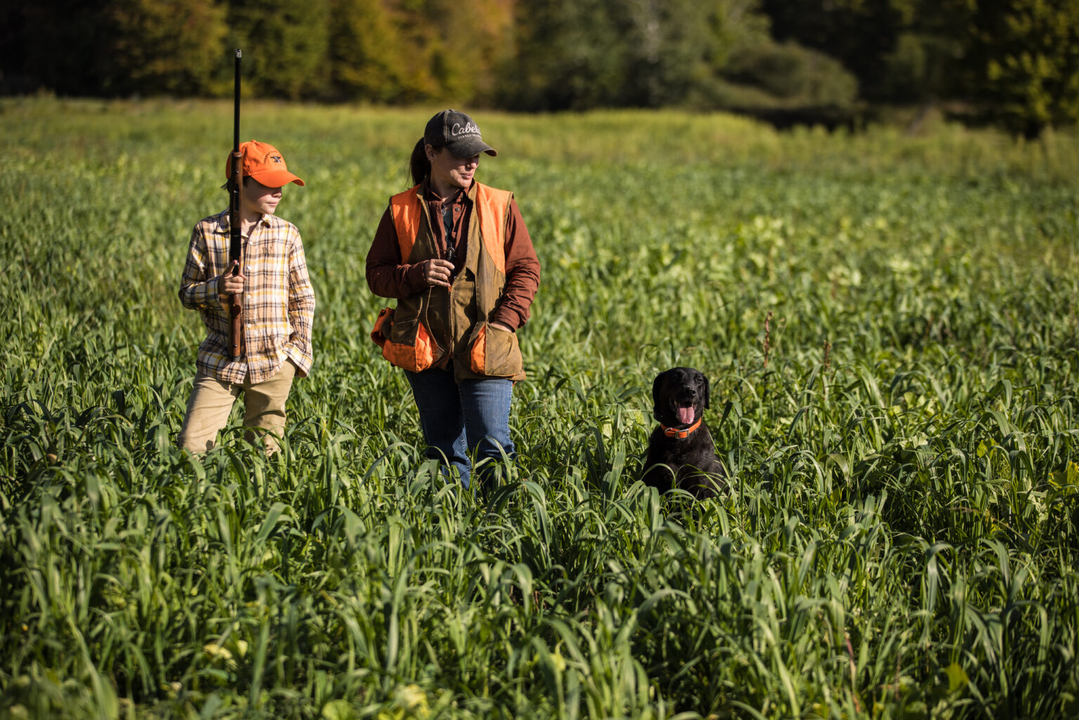 About Us - Sundance Retrievers
